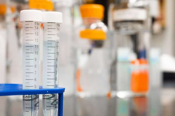 Drug Screening Cost How Much Does A Drug Test Cost Rapid Detect drug-screening-cost-how-much-does-a-drug-test-cost-rapid-detect